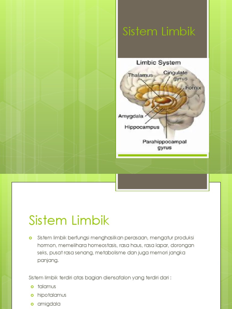 Sistem Limbik | PDF | Kesehatan Holistik
