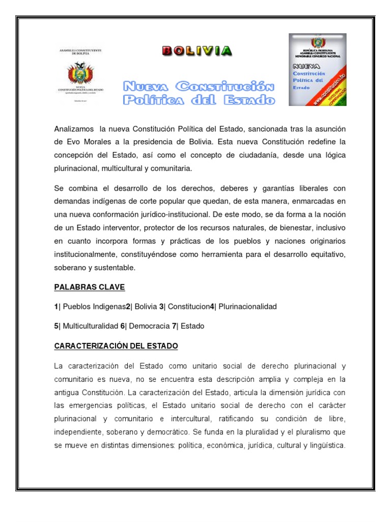 Análisis de la Nueva Constitución Boliviana | PDF | Estado (política ...