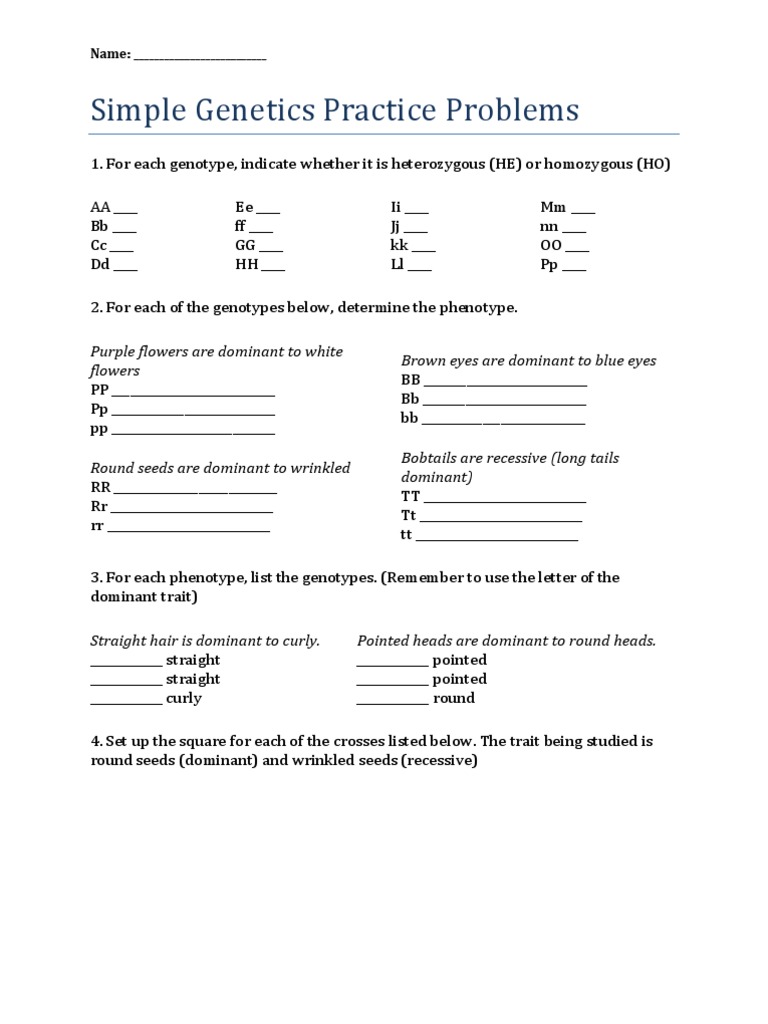 Simple Genetics Practice Problems | PDF | Zygosity | Genotype