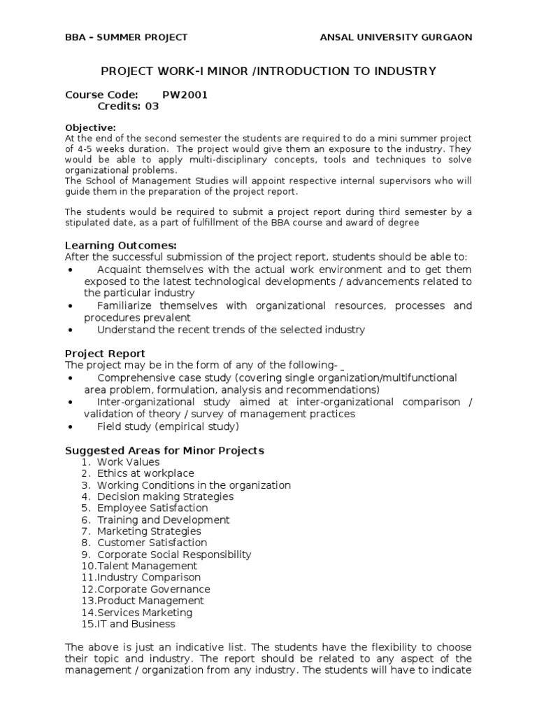 BBA Project Work Guidelines | PDF | Cognition | Business