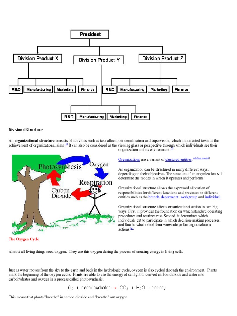 Oxygen Cycle | PDF | Oxygen | Atmosphere Of Earth