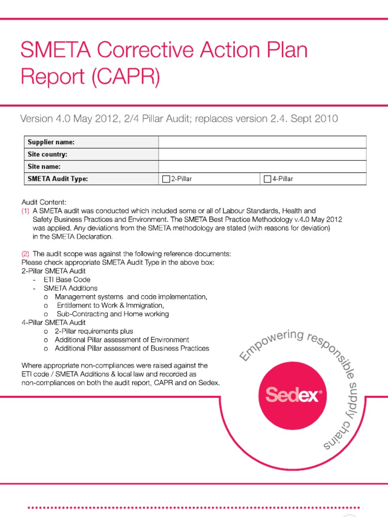 Smeta Version 4.0 Capr | Auditor's Report | Audit
