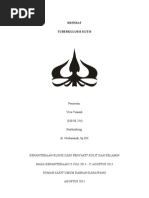 TB Kutis Verukosa | PDF