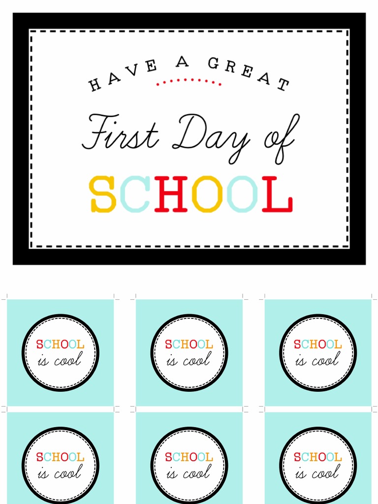 Back To School Freebie | PDF