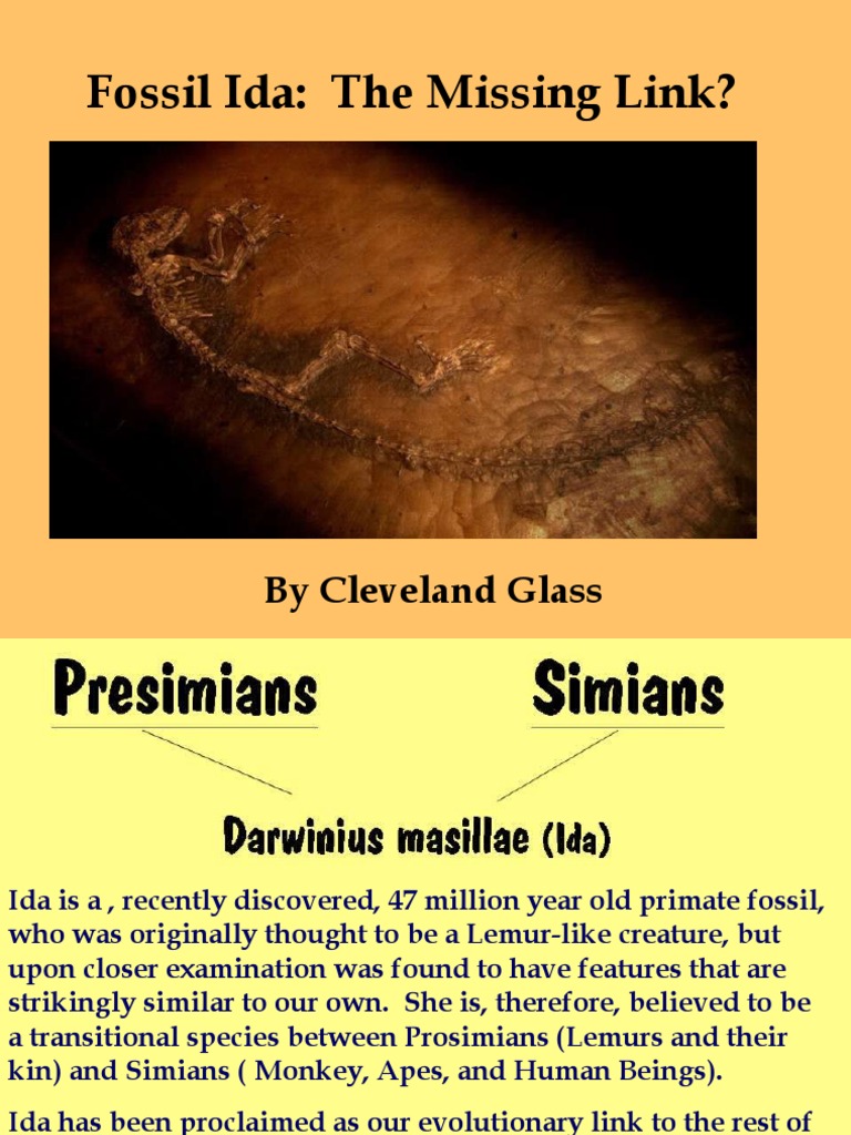 Fossil Ida, The Missing Link? | PDF | Organisms | Nature