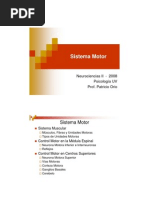 Fisiopatología de Las Células Renshaw | PDF