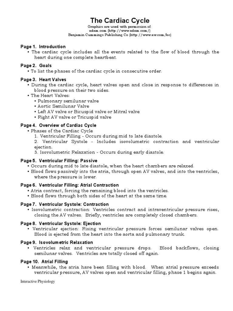 Cardiac Cycle | PDF | Heart Valve | Ventricle (Heart)