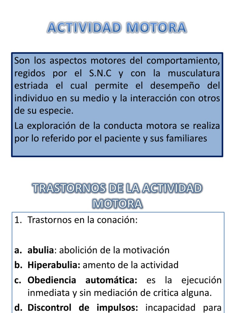 Actividad Motora | PDF
