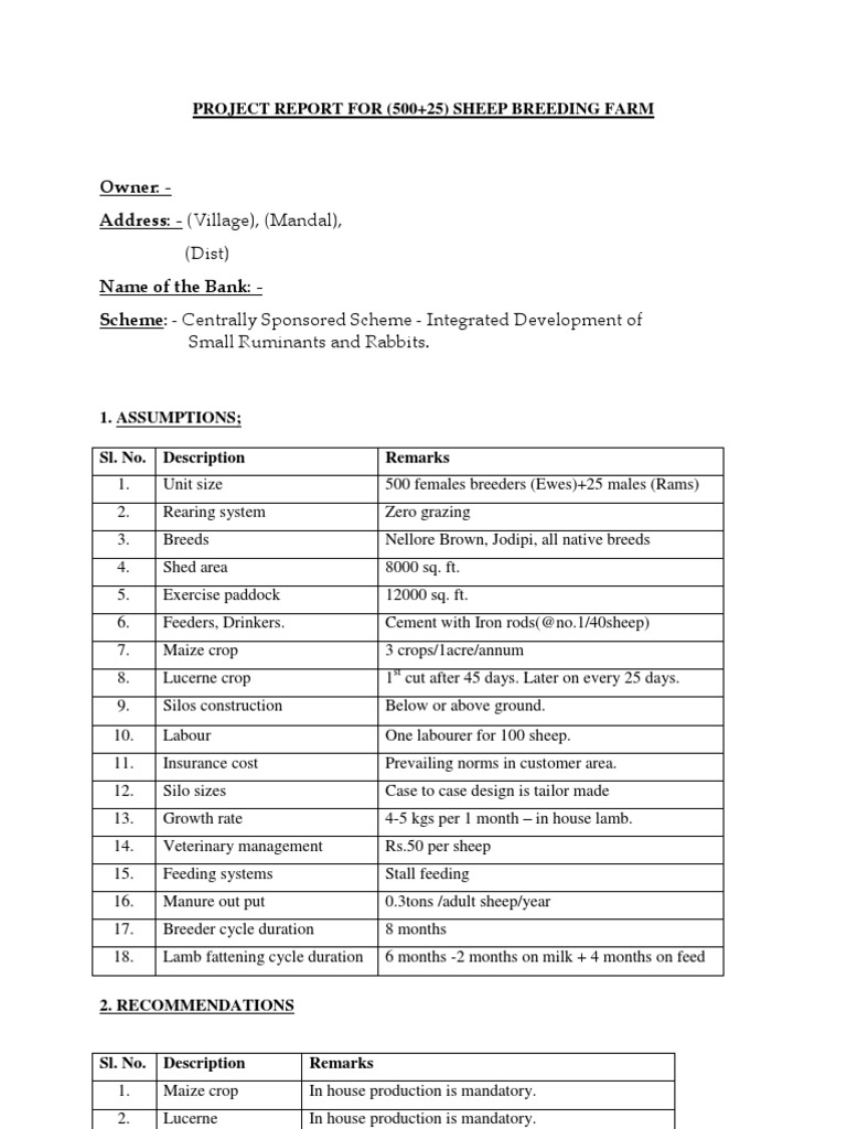 500 Sheep Breeding Farm Project Report | PDF | Sheep | Economies