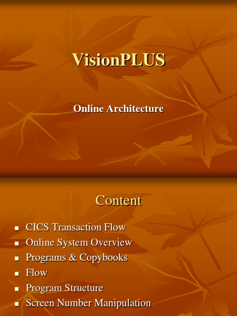 VisionPLUS Mainframe Overview Guide | PDF