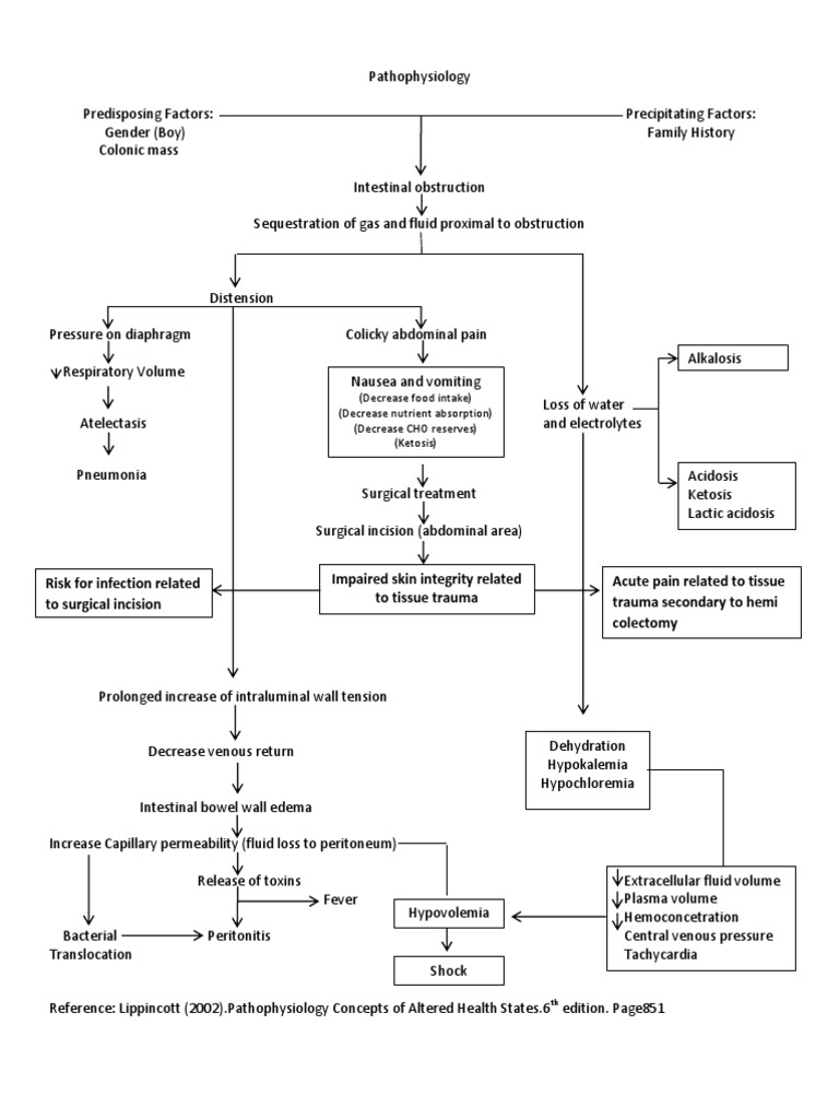 Pathophysiology of Intussusception
