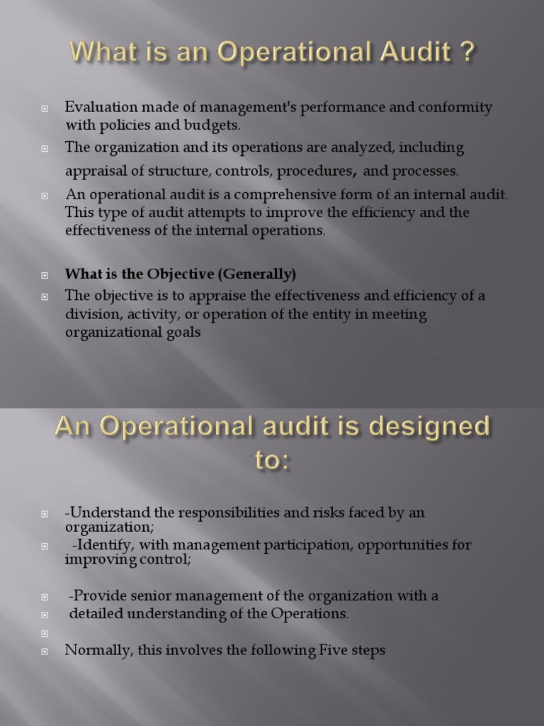 Operational Audit Presentation AD | PDF | Financial Audit | Financial ...