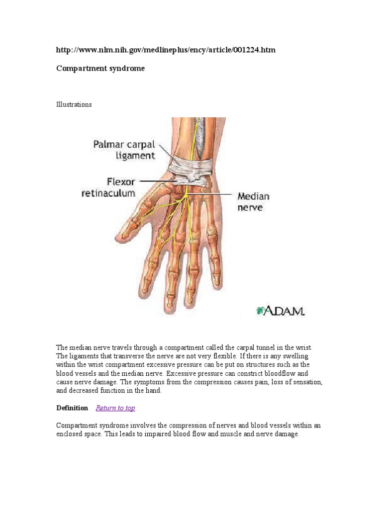 Compartment Syndrome: Return To Top | PDF | Pain | Musculoskeletal System