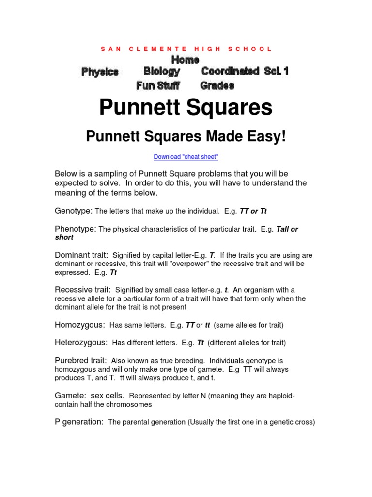 Punnett Squares Made Easy! | PDF | Dominance (Genetics) | Allele