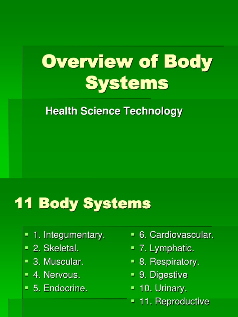 Overview of Body Systems | PDF | Lymphatic System | Blood