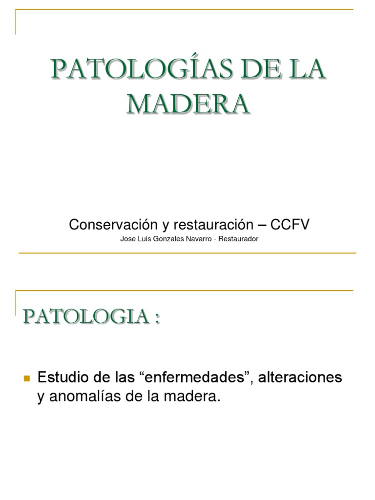 Patologia de La Madera | PDF | Insectos | Hongo