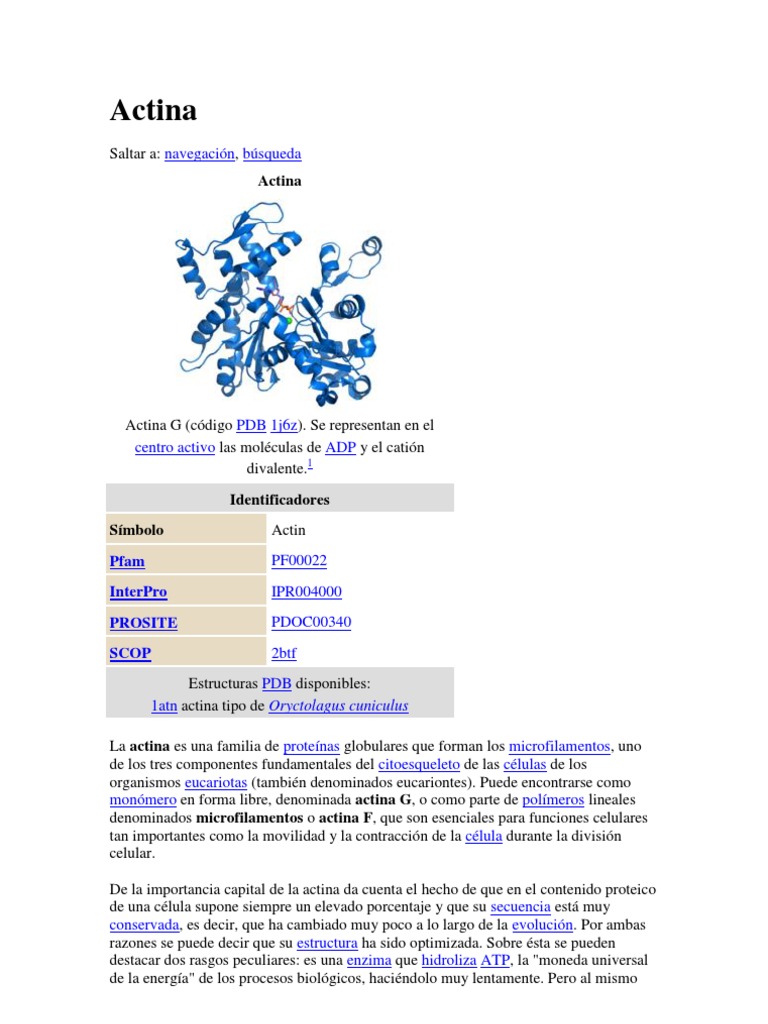 Actina | PDF | Actina | Biología Celular)