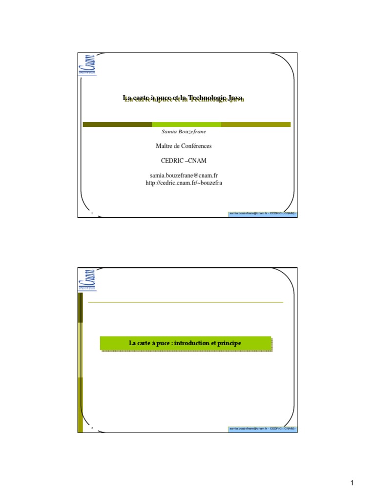 Cartes - À Puce en Java - Card - RMI | PDF