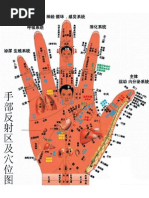 Chinese Fire Cupping | PDF | Traditional Chinese Medicine | Acupuncture