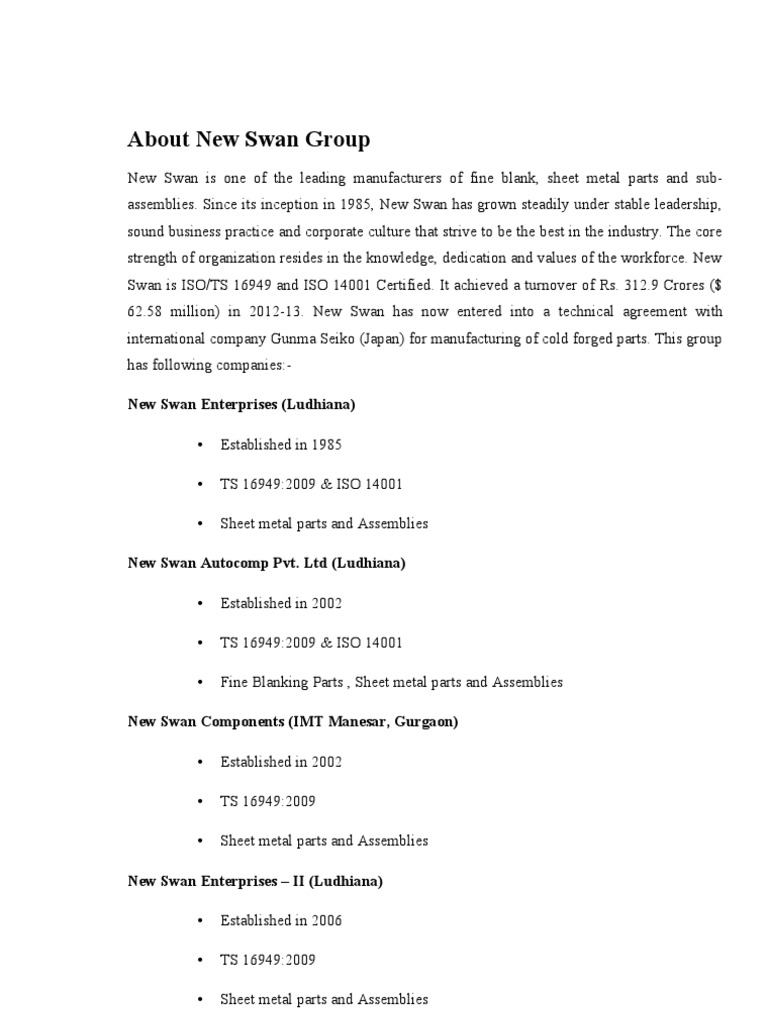Overview of New Swan Group | PDF