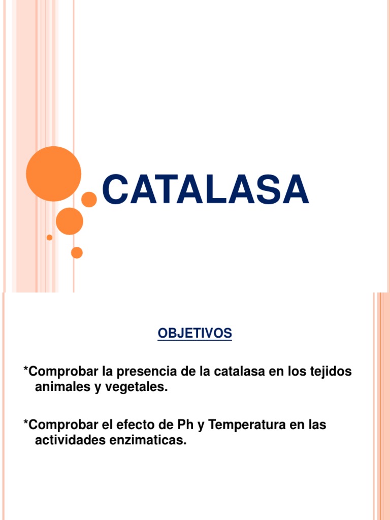Catalasa Ideas Positivas | PDF | Catalasa | Enzima