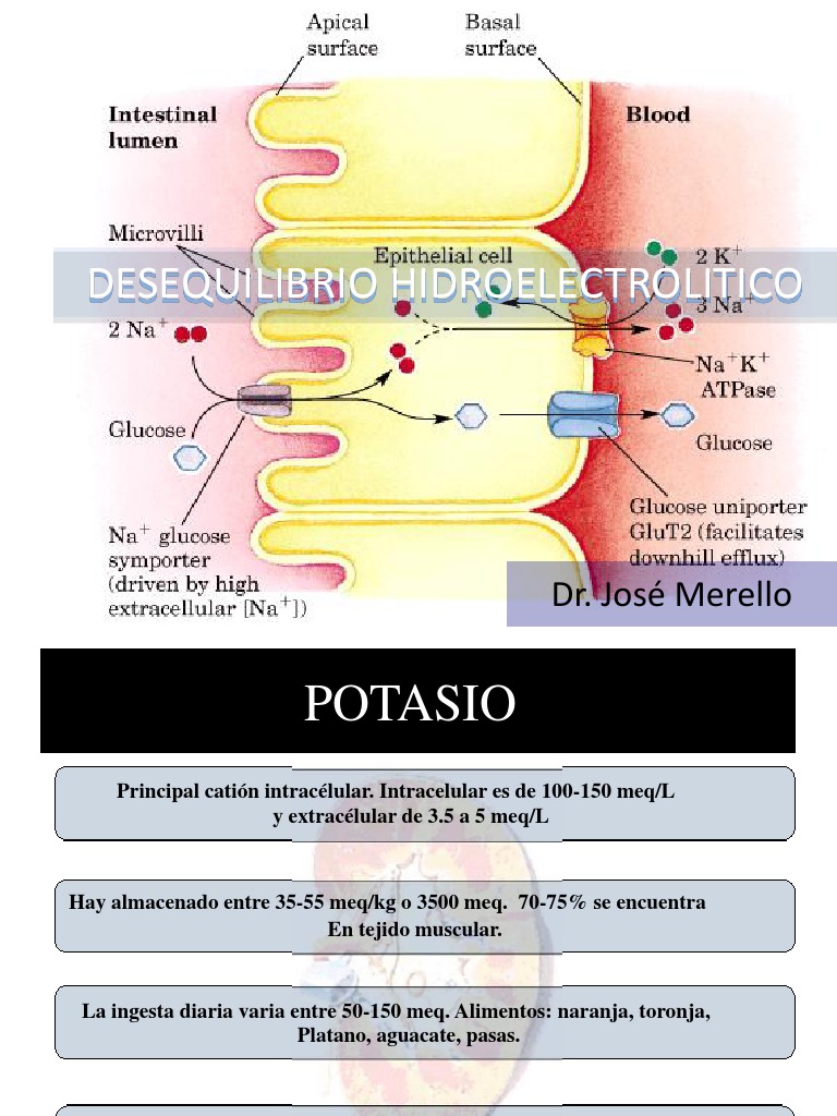 Exposicion de Alteraciones Del Potasio | Potassium | Internal Medicine