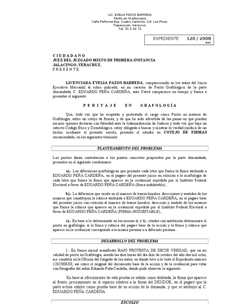 Peritaje Grafoscopia Ortiz | PDF | Testigo experto | Escritura