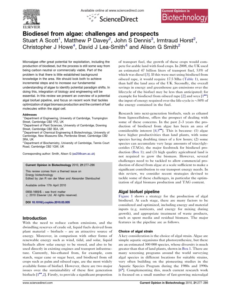 Biodiesel From Algae: Challenges and Prospects | PDF | Algae Fuel | Biofuel