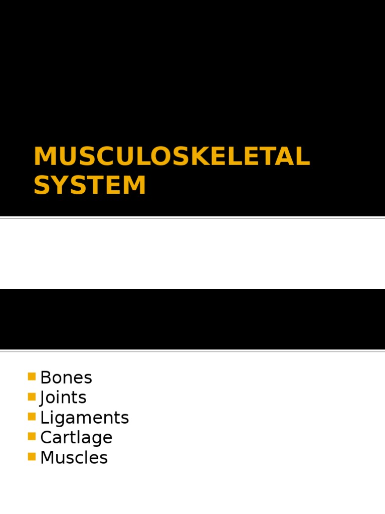 Musculoskeletal System Lecture Notes | PDF | Skull | Human Leg