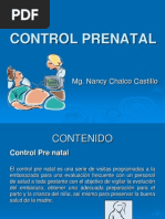 Carnet Del Embarazo | PDF