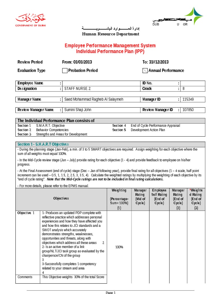 Employee Performance Management System Individual Performance Plan (IPP ...