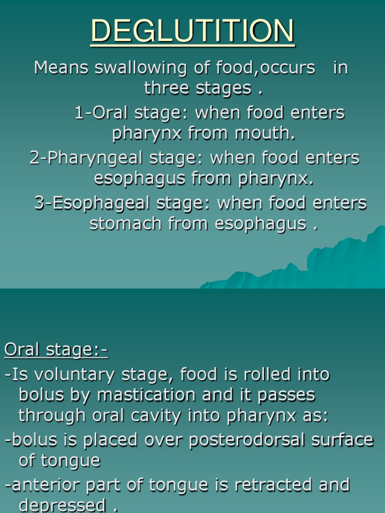 DEGLUTITION | PDF | Science & Mathematics