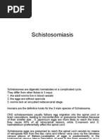 Form 2 Combined Science Notes 2020 | PDF | Digestion | Flowers