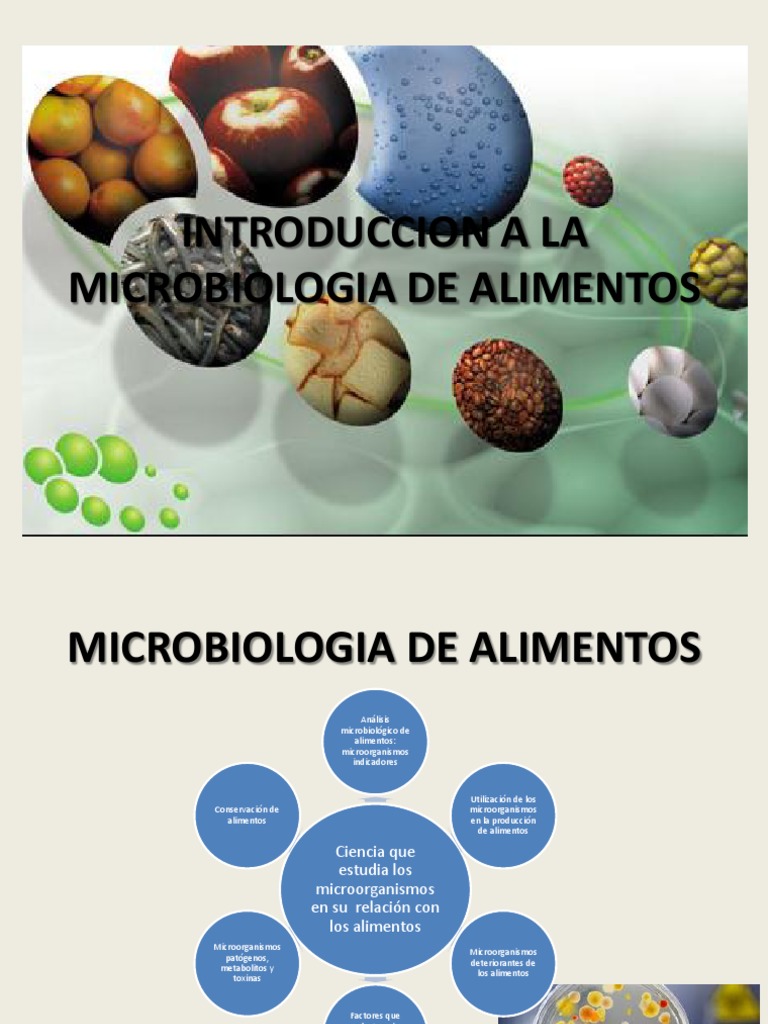 Introduccion A La Microbiologia de Alimentos | Las bacterias | Alimentos