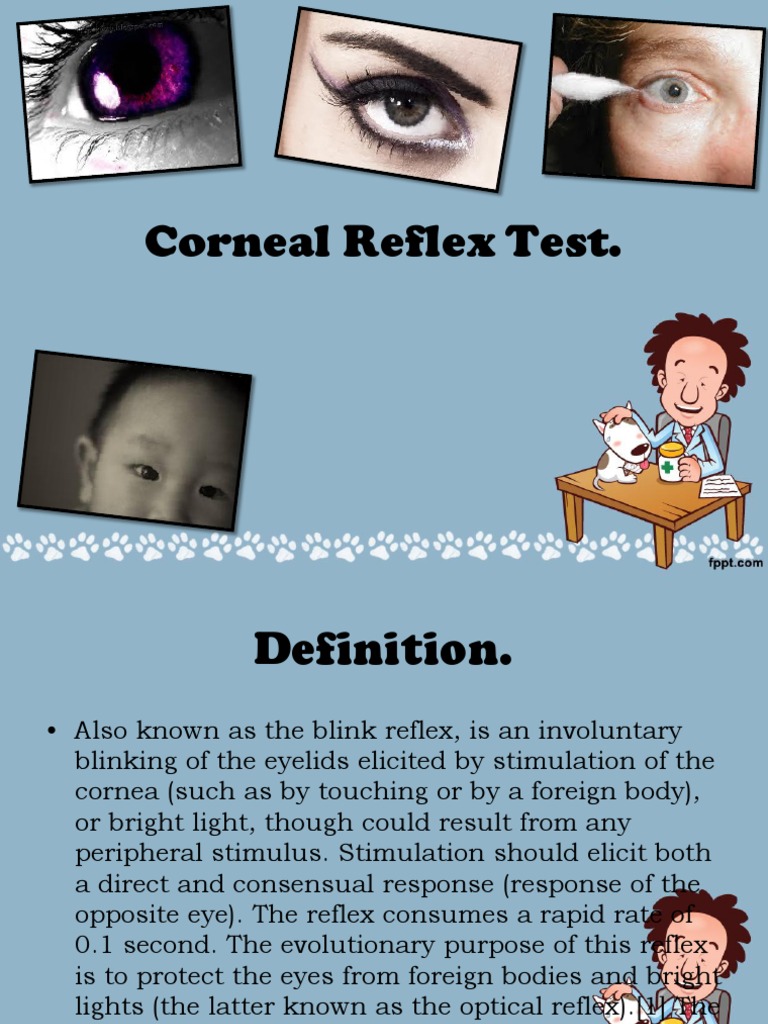 Corneal Reflex | PDF | Human Eye | Cornea