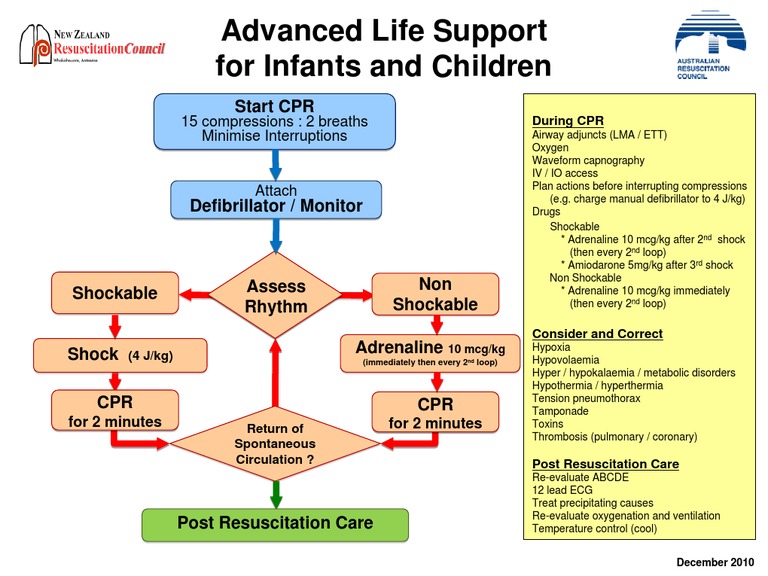 Paediatric CPR | PDF