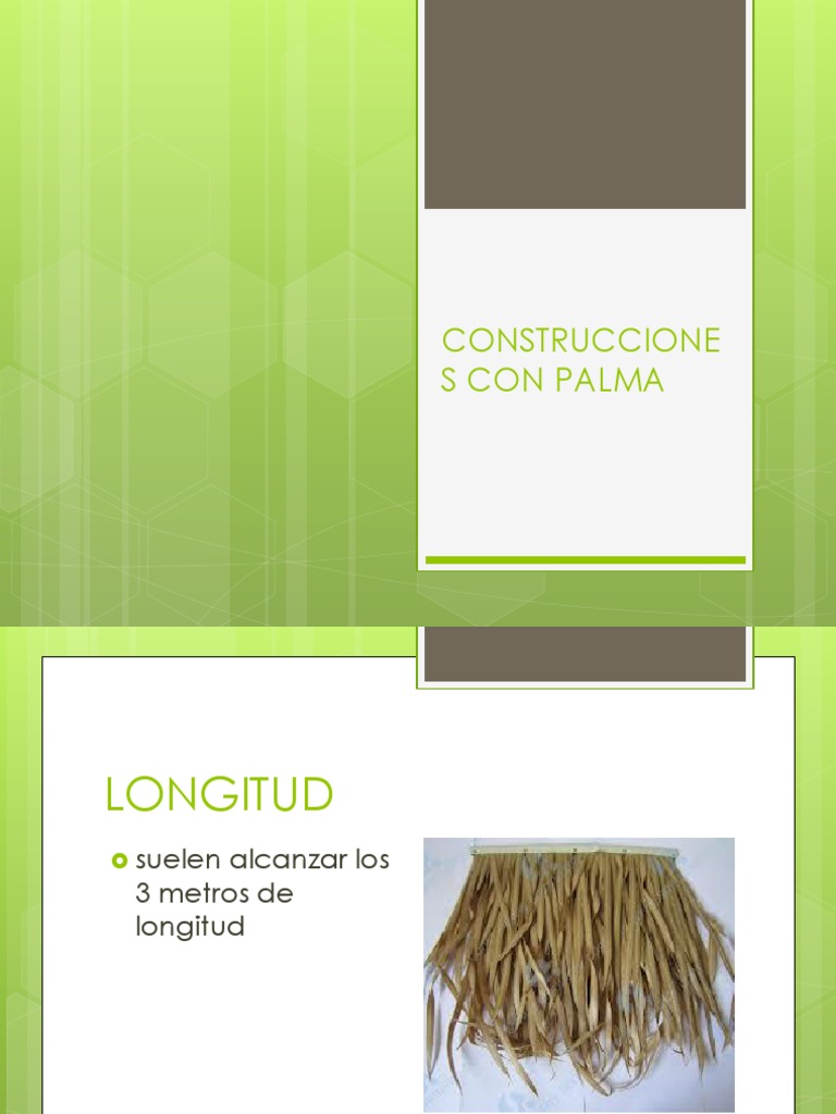 Construcciones Con Palma | PDF | Hogar, jardinería y bricolaje