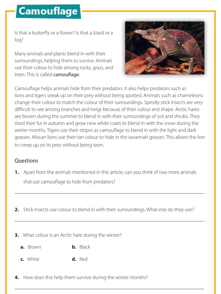 Camouflage - Reading Comprehension For Kids | PDF | Camouflage | Predation