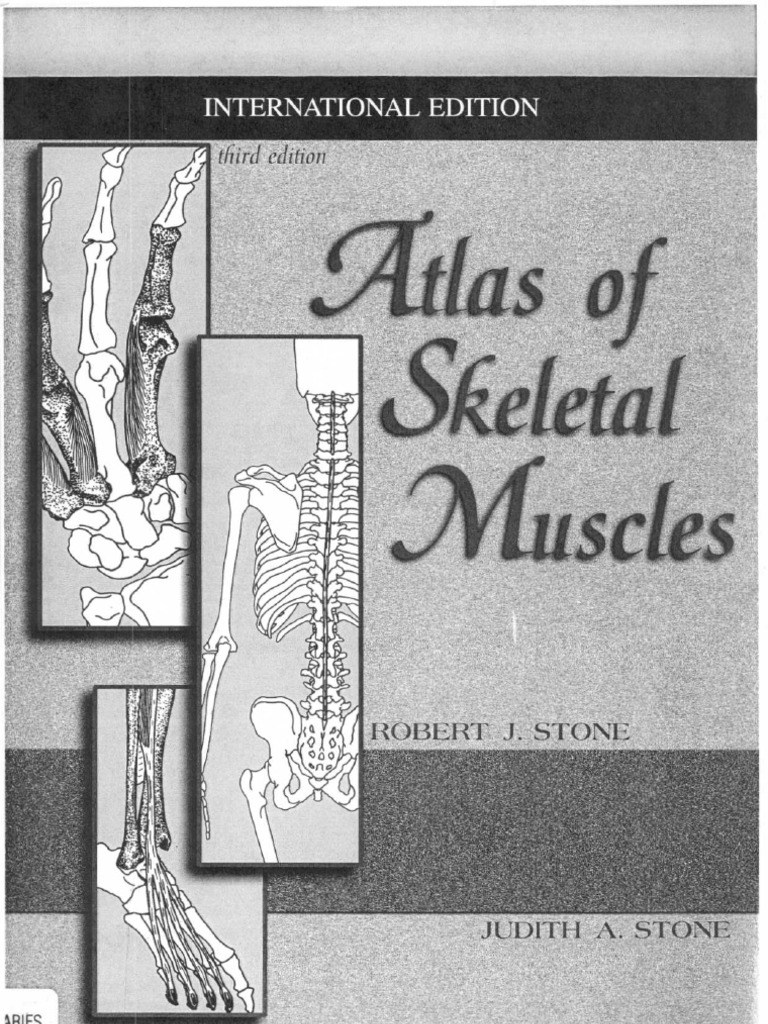 Atlas of Skeletal Muscles Stone | PDF