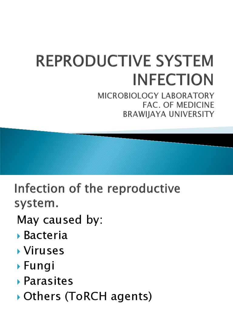 Reproductive System Infection | Herpes Simplex | Infection