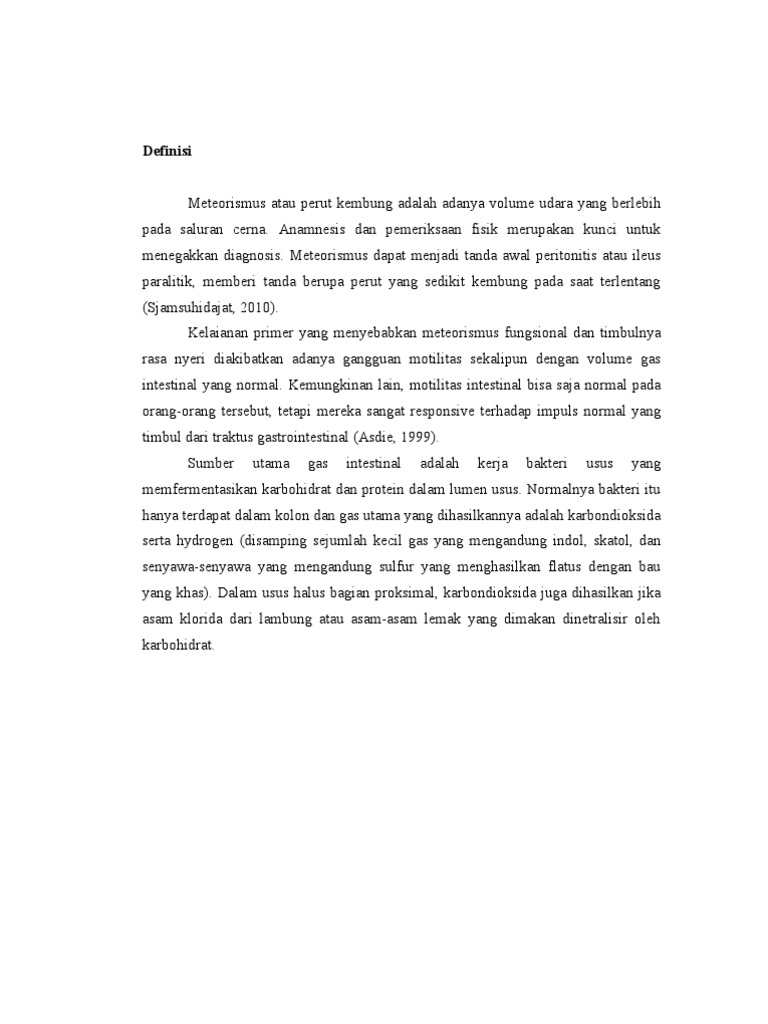 Meteorismus 1 | PDF