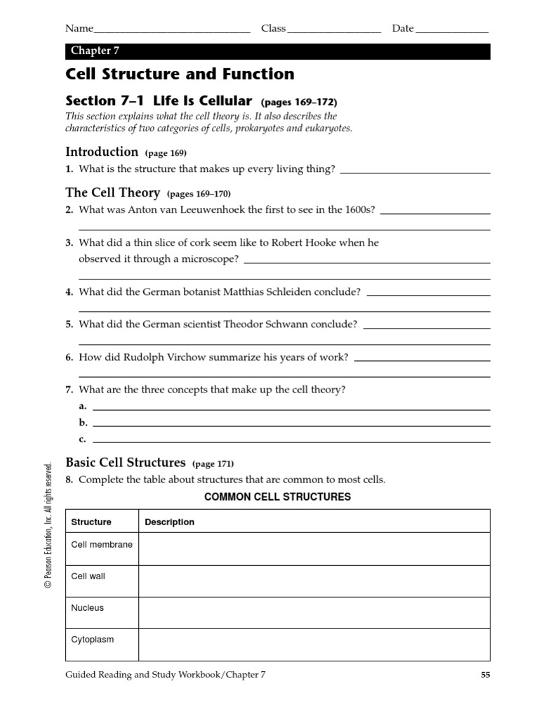 Cell Structure and Function | PDF | Cell (Biology) | Cell Membrane