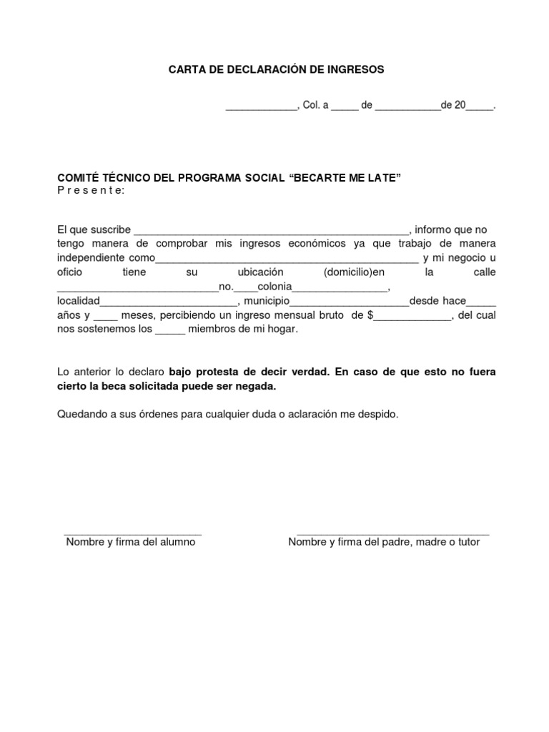 Carta de Declaración de Ingresos | PDF