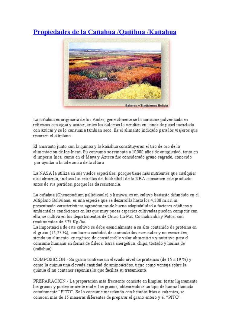 Propiedades de La Cañahua | PDF | Quinua | Cereales