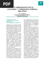 Pasos quirúrgicos para la Cesárea tipo Kerr