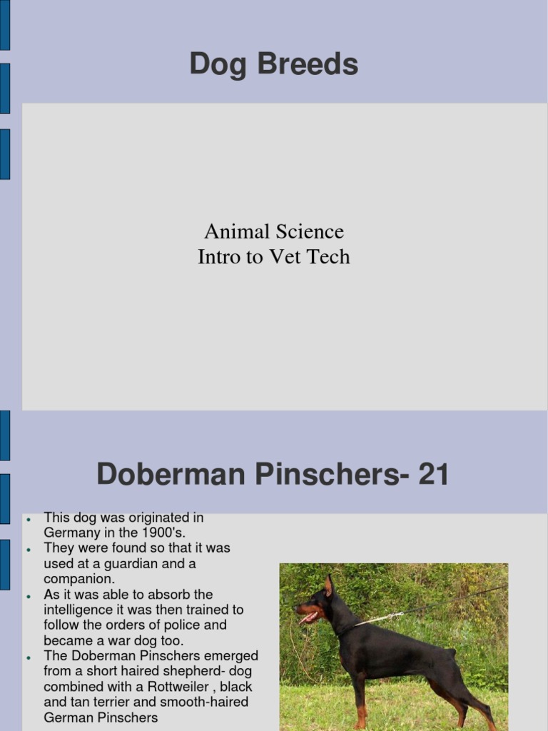 Dog Breeds | PDF