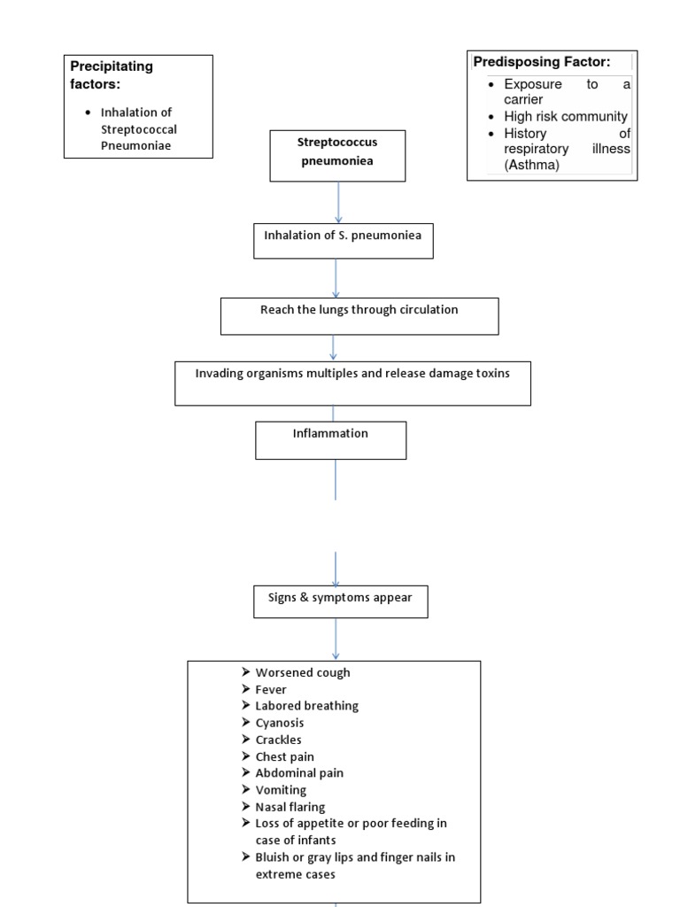 Precipitating Factors: Predisposing Factor | PDF
