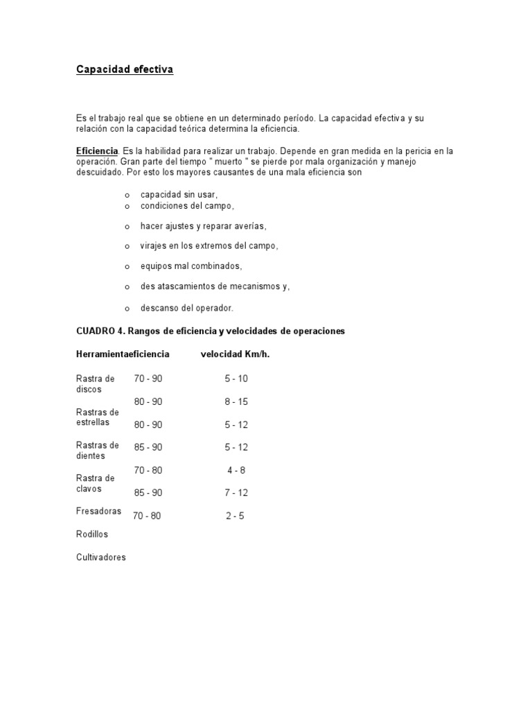 Capacidad Efectiva | PDF | Negocios | Informática