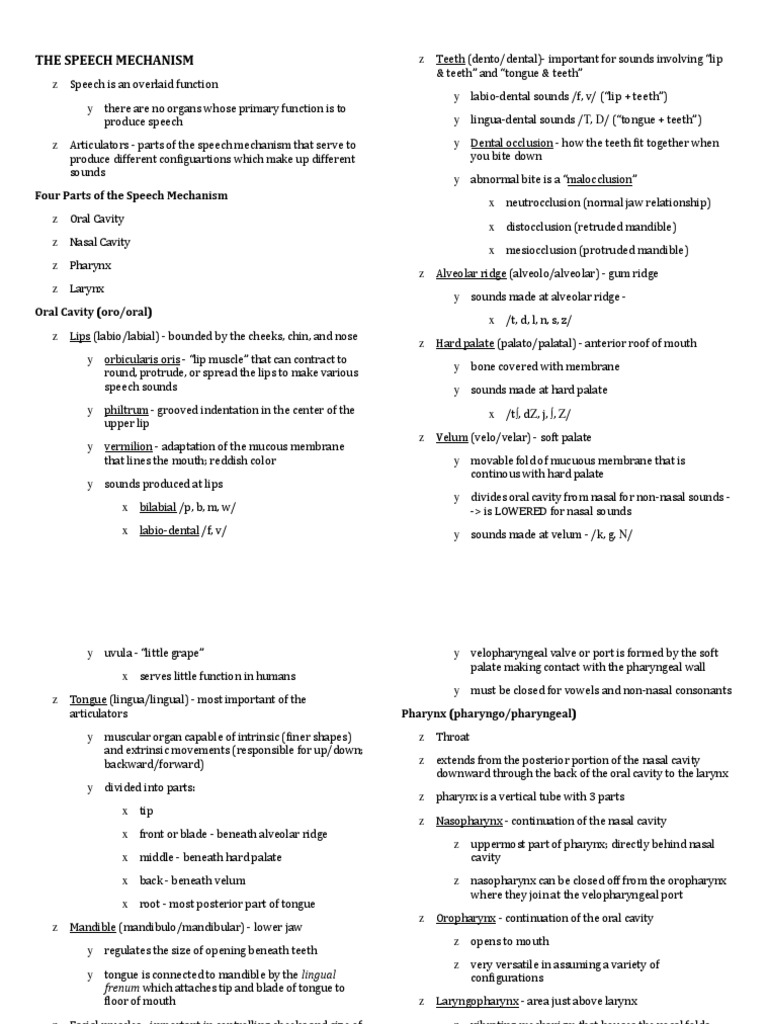 Anatomy of the Speech Mechanism | PDF | Larynx | Tongue