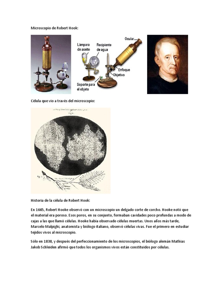 Microscopio de Robert Hooke y células | PDF | Microscopio | Biología ...